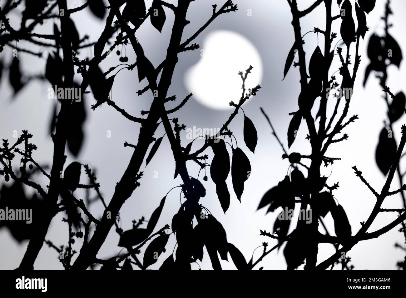 Partial solar eclipse on 25. 10. 2022, town hall, Allensbach, Baden ...