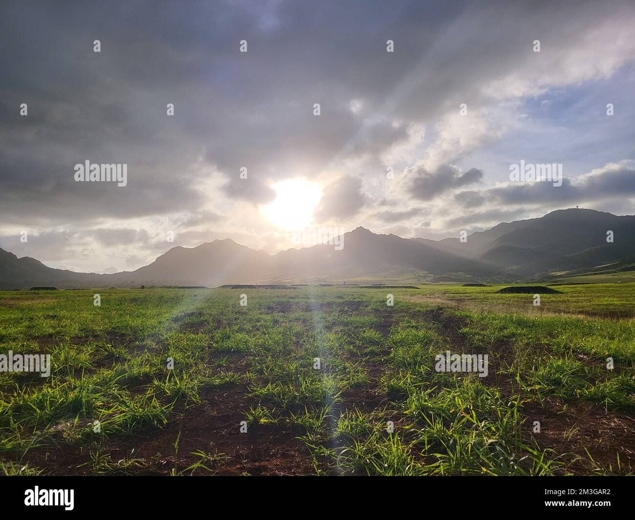 A landscape of a sun shining over a green field on the background of ...
