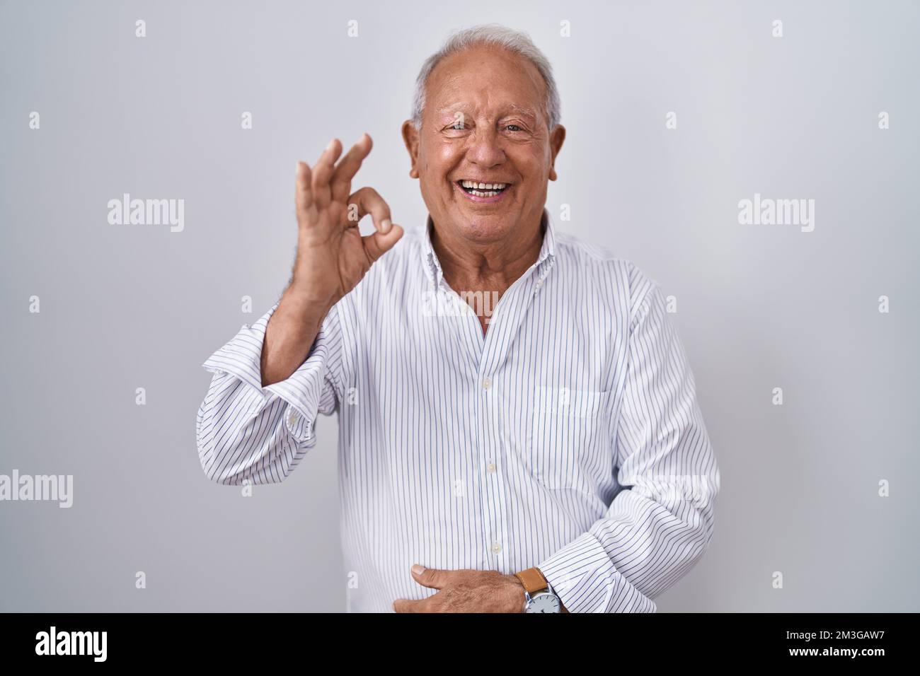 Senior man with grey hair standing over isolated background smiling ...