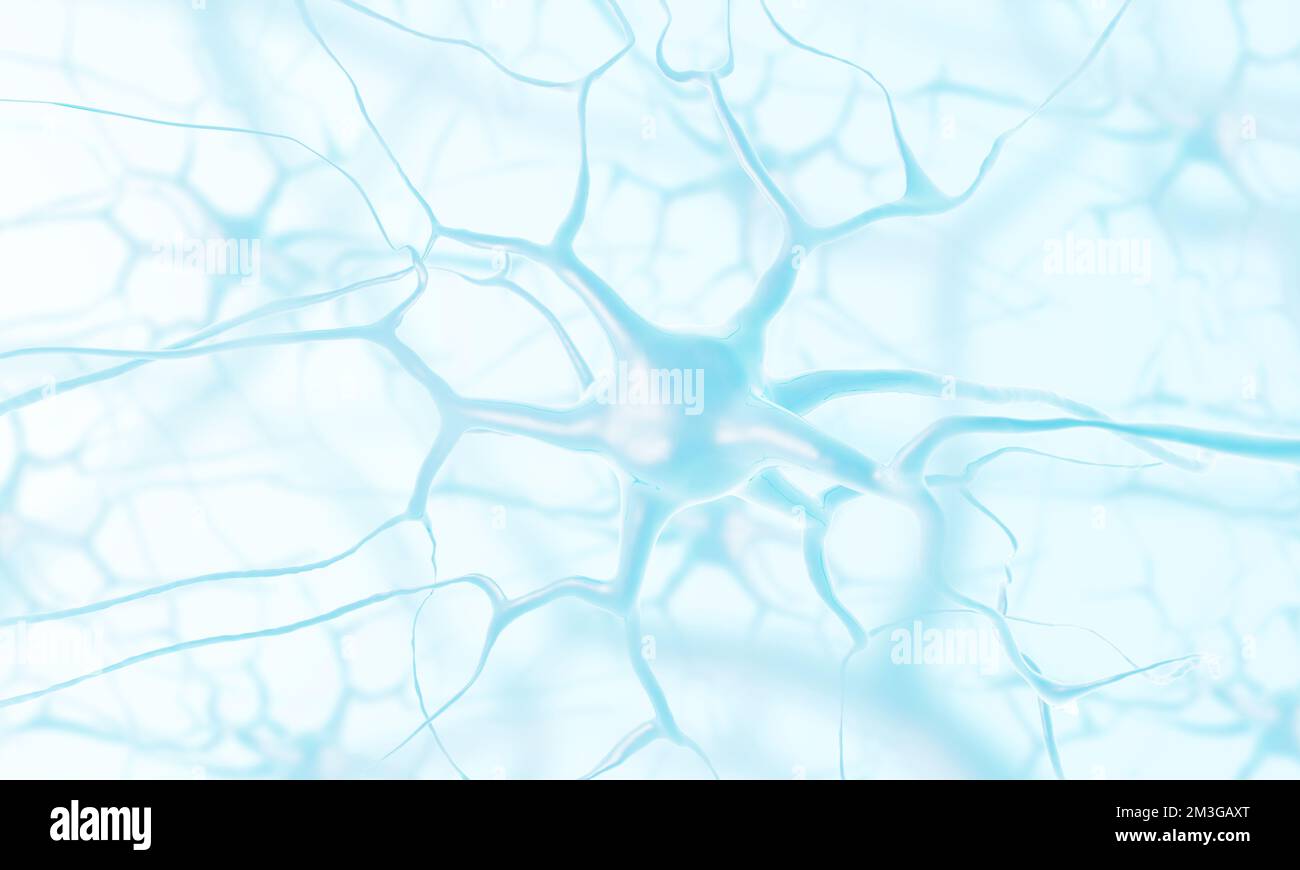 Neurons in the brain. Nerve cell. Neurone. Neuron cells. Neurology. 3d ...