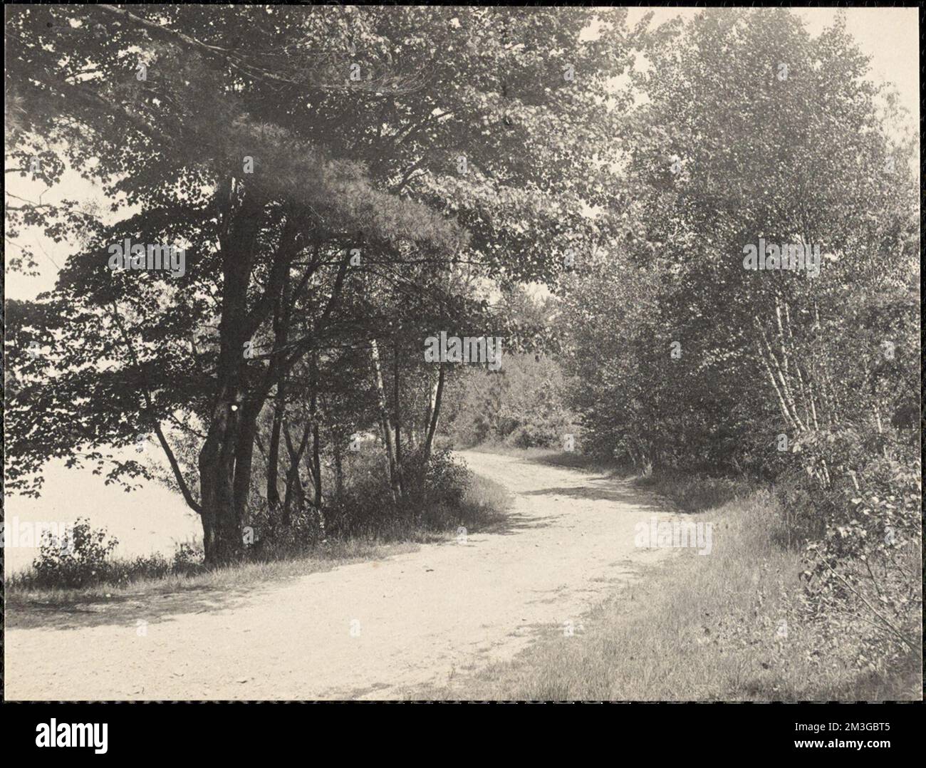 Massapoag Avenue, Sharon MA ,. Sharon Public Library Photo Collection ...