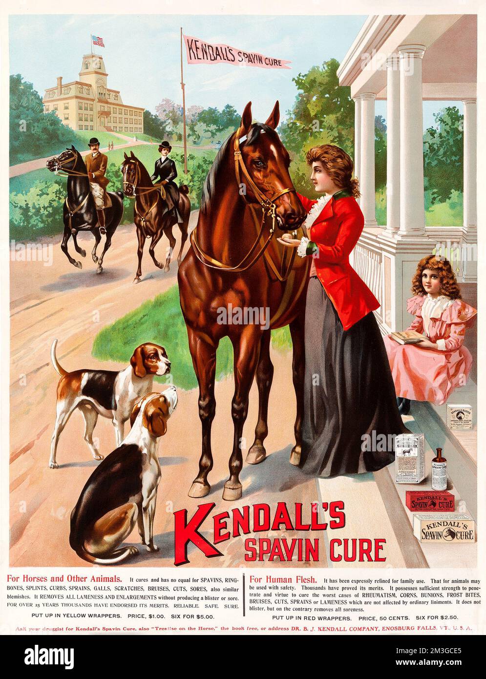 Harris' Light Cavalry Stock Photo - Alamy