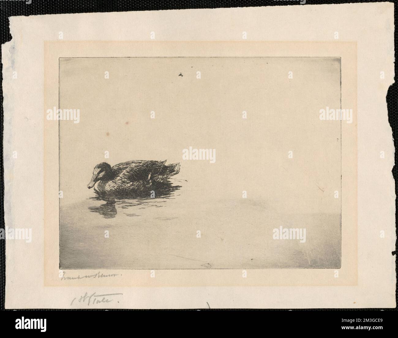 Frank w 1862 1951 hi-res stock photography and images - Alamy