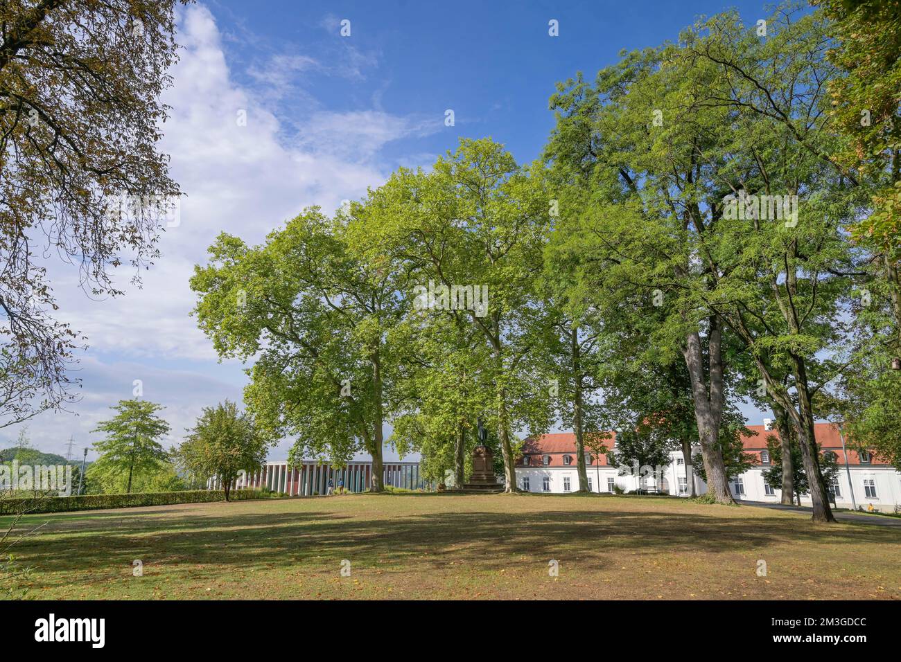 Trees, Park, Schillerhoehe, Marbach, Baden-Wuerttemberg, Germany Stock ...