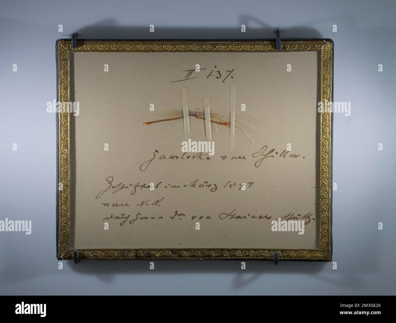 Lock of hair by Friedrich Schiller, Schiller's birthplace ...