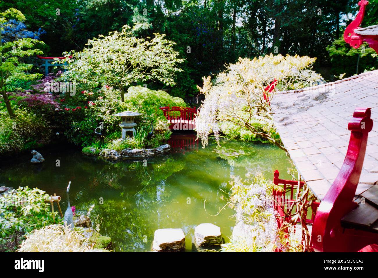 Compton Acres in Dorset. Shot on film in the 1990's Stock Photo - Alamy