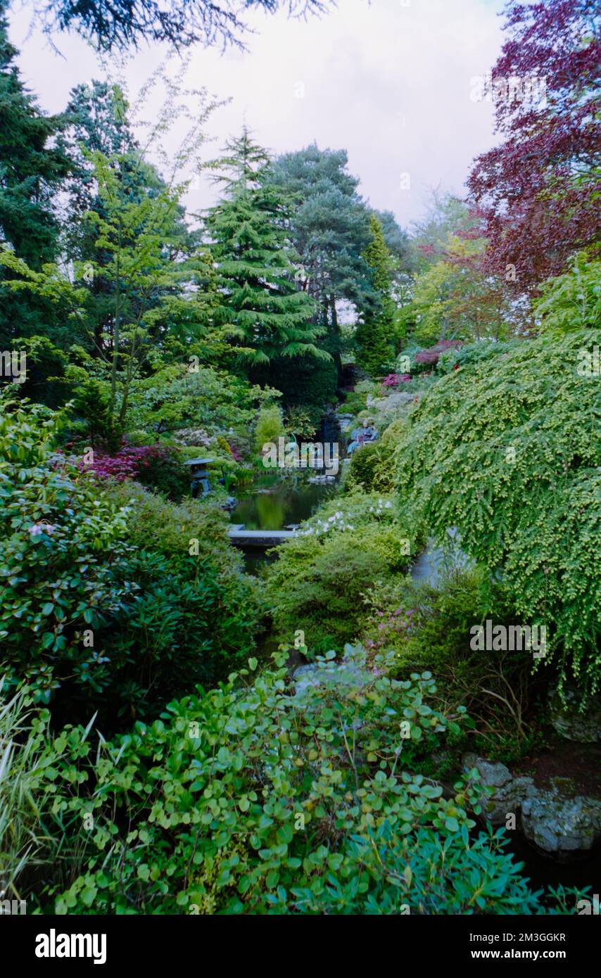Compton Acres in Dorset. Shot on film in the 1990's Stock Photo - Alamy