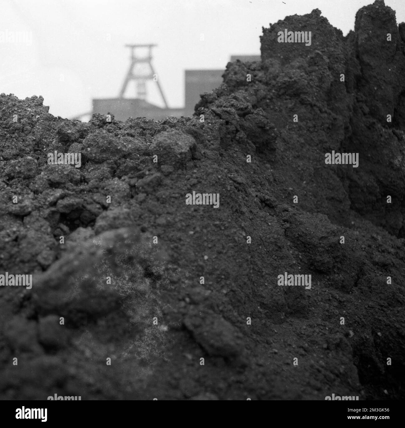 End the pollution Black and White Stock Photos & Images - Alamy