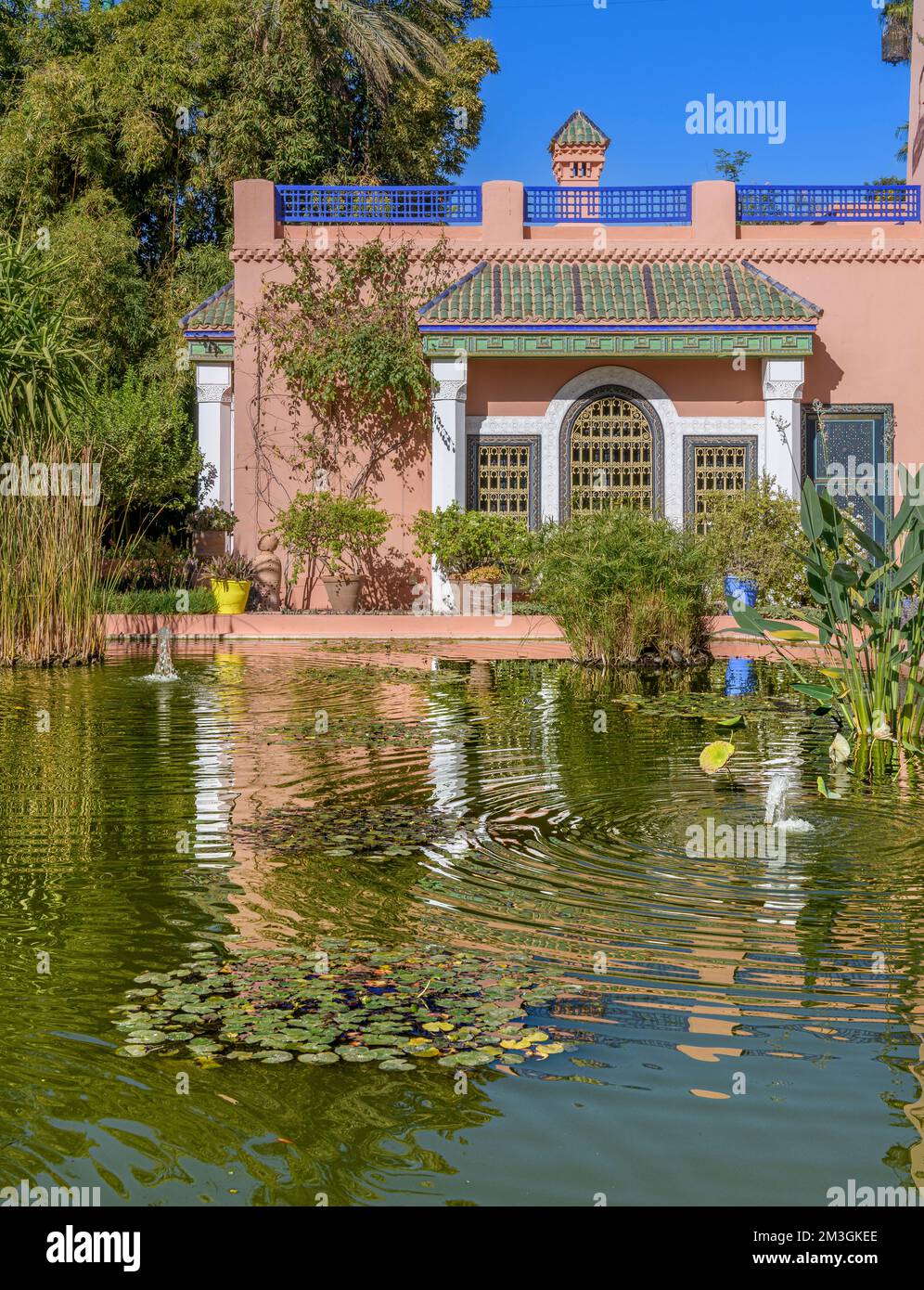 Yves saint laurent garden marrakech hi-res stock photography and images ...