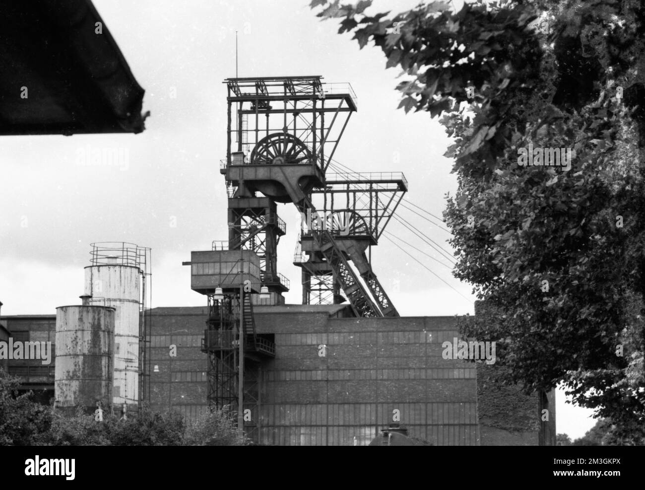 Ewald Colliery, here in Herten in 1970, was a record-breaking colliery ...