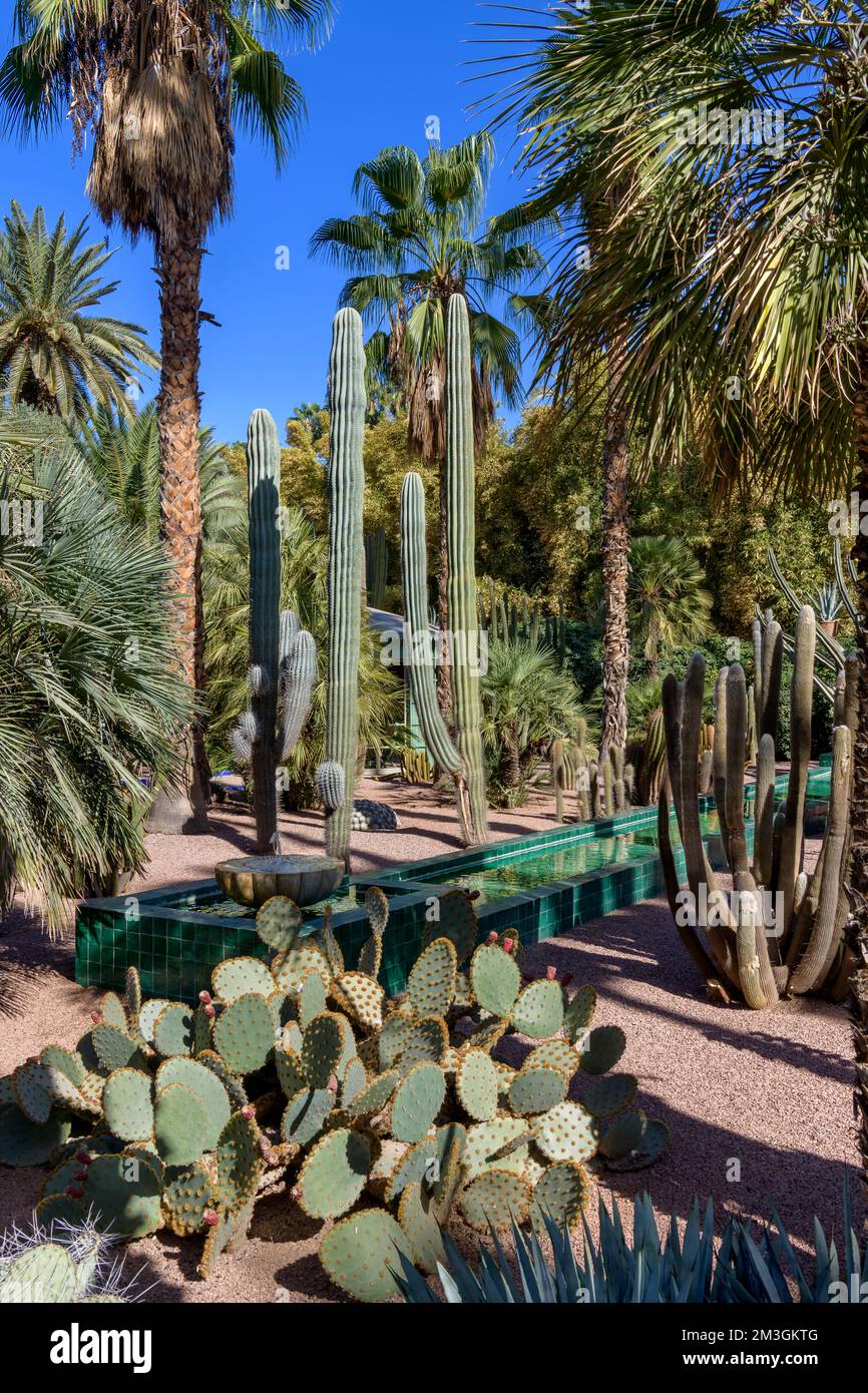 Villa Oasis - home of Yves Saint Laurent and Pierre Berge, now open to ...