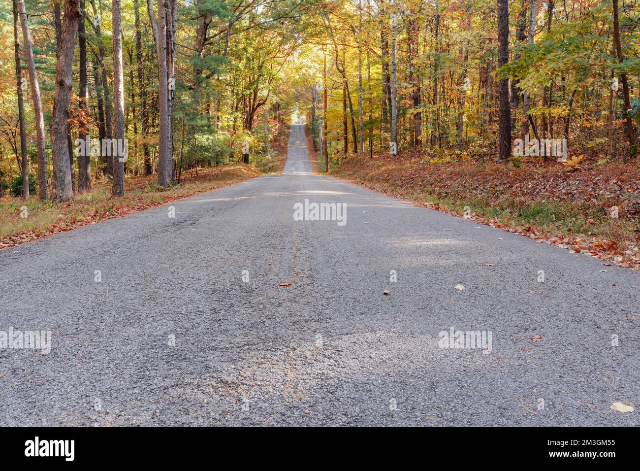 Country road of beautiful autumn fall foliage and colors trees in ...