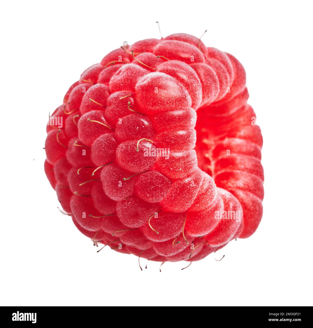 Delicious single raspberry over isolated white background Stock Photo ...