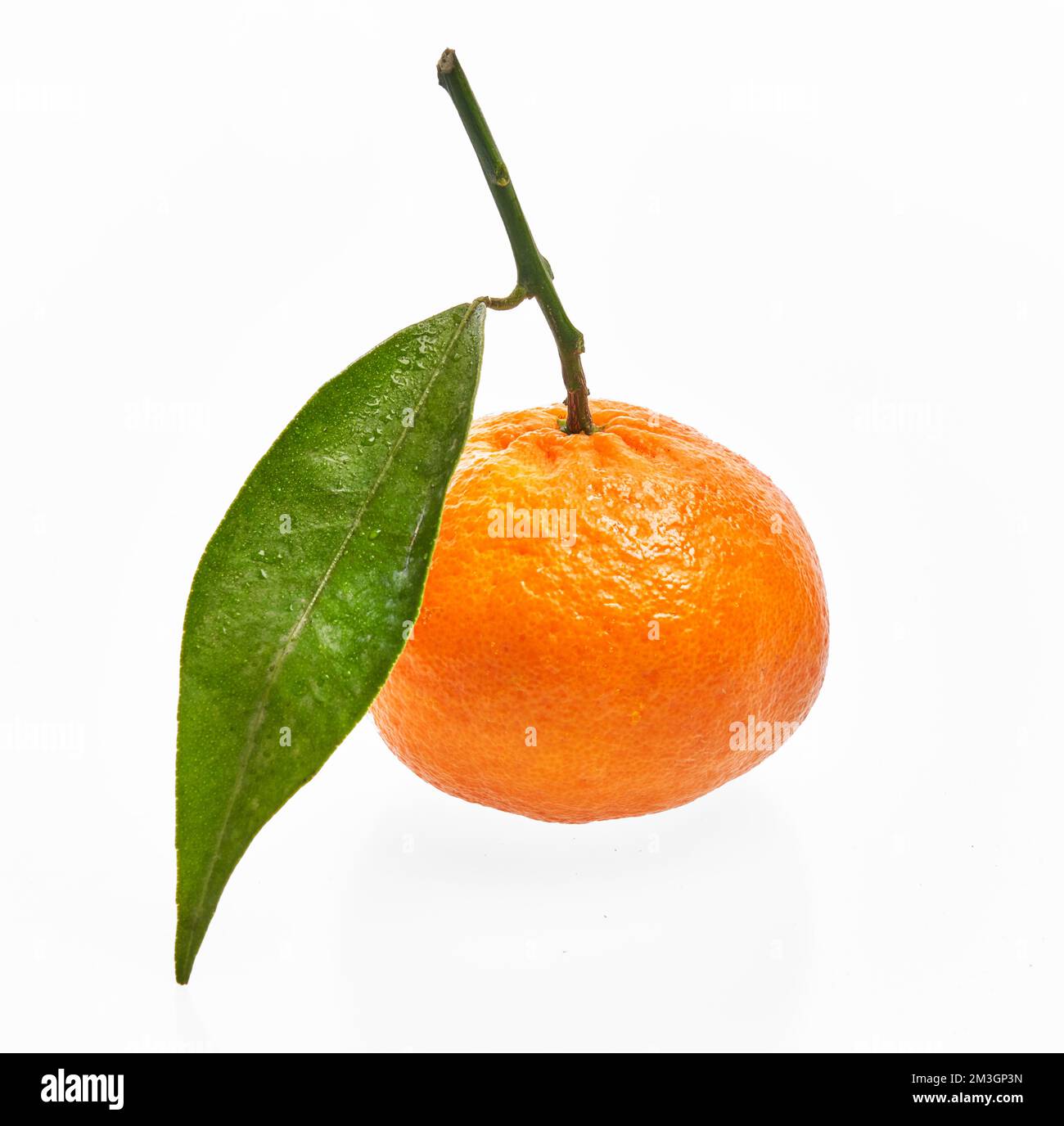 Delicious single tangerine over isolated white background Stock Photo ...