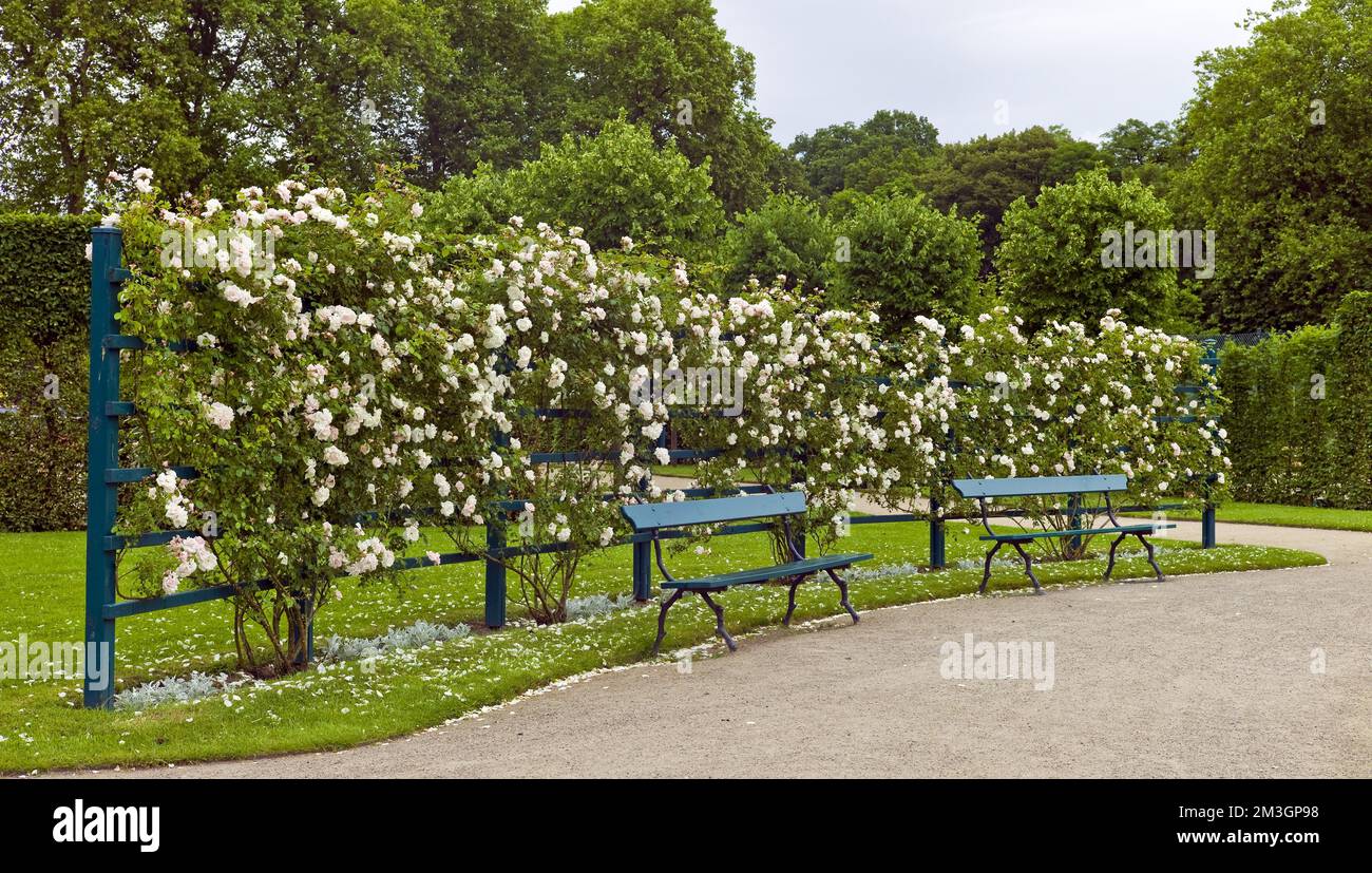 Trellis bench hi-res stock photography and images - Alamy
