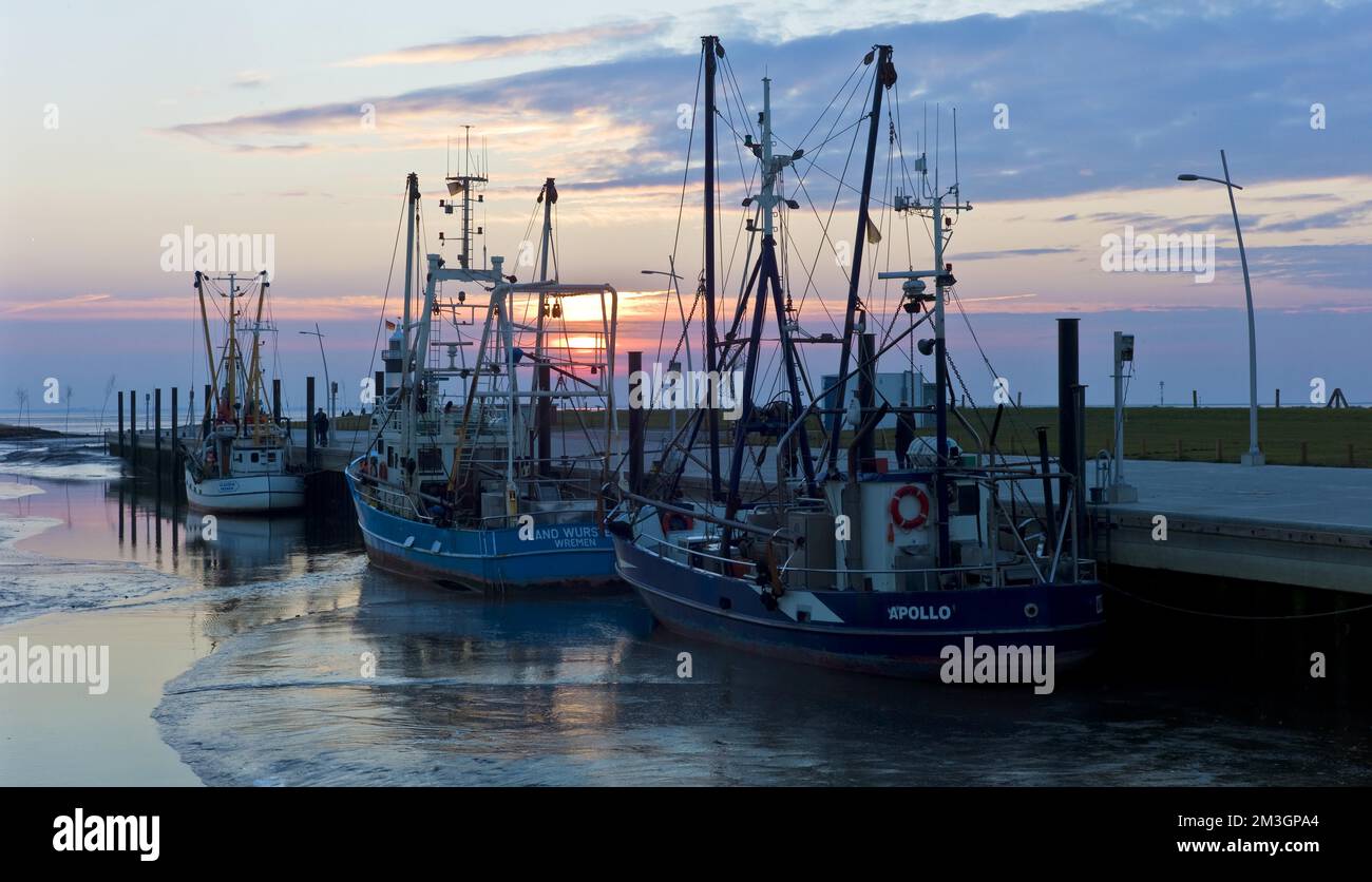 Wremertief harbour with crab cutters and the Kleiner Preusse lighthouse ...