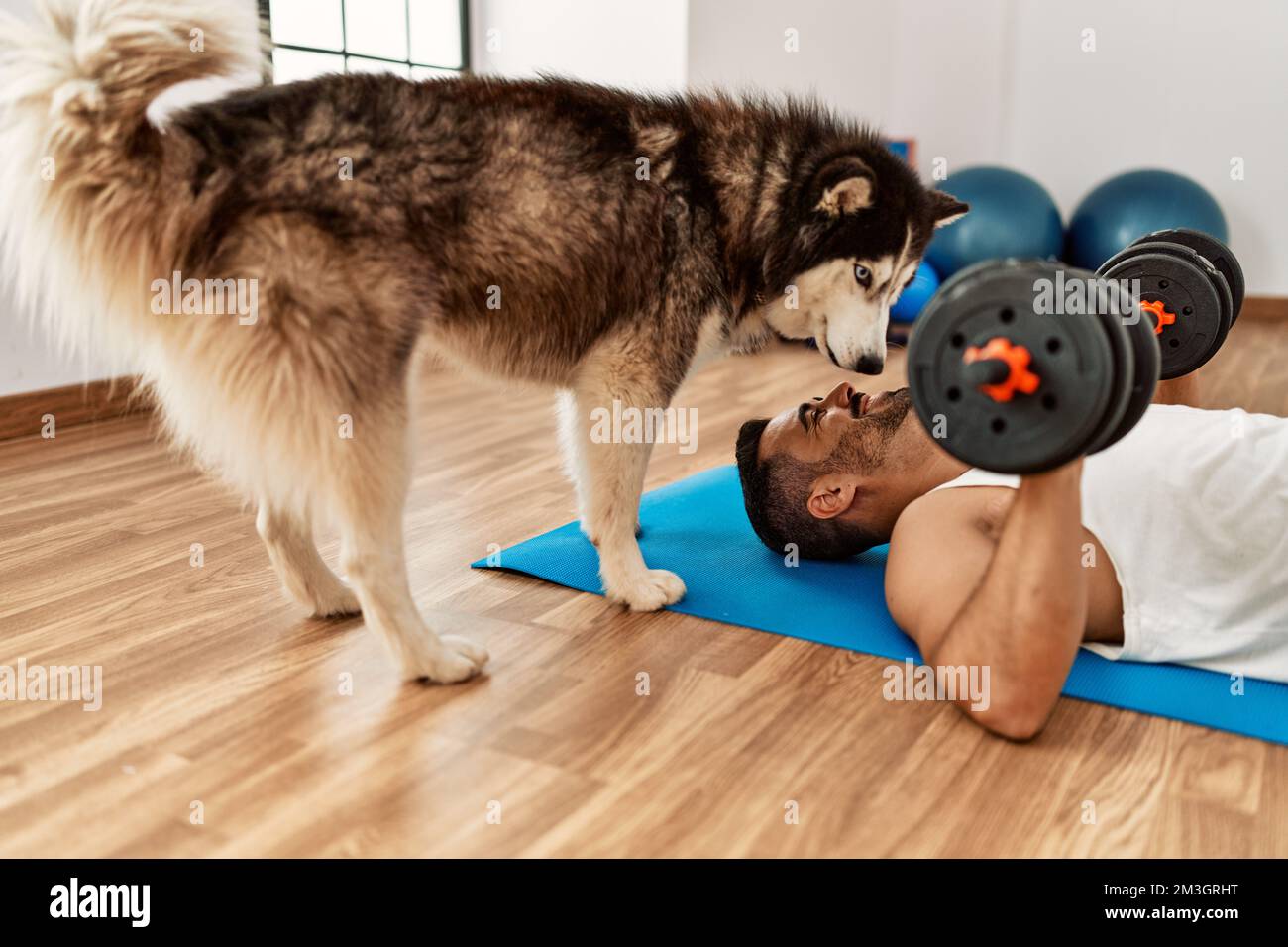 Young hispanic man smiling confident training using dumbbells with dog ...