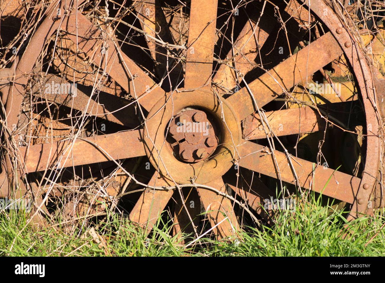 close up of old and rusting wheel of abandoned tractor, UK Stock Photo - Alamy