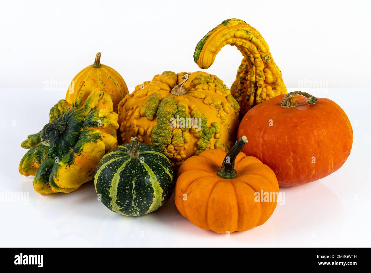 The squash isolated on white background Stock Photo - Alamy