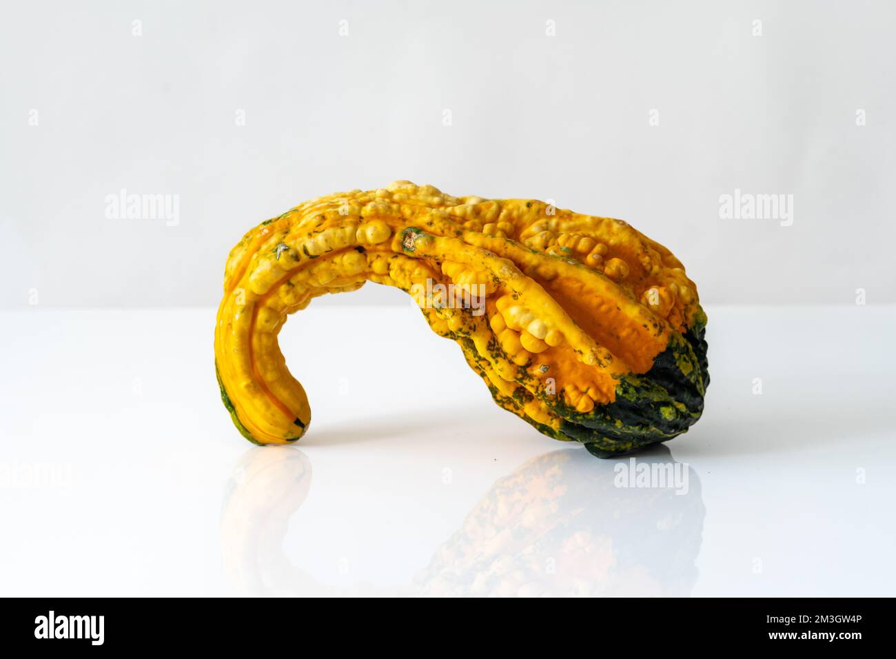 The squash isolated on white background Stock Photo - Alamy