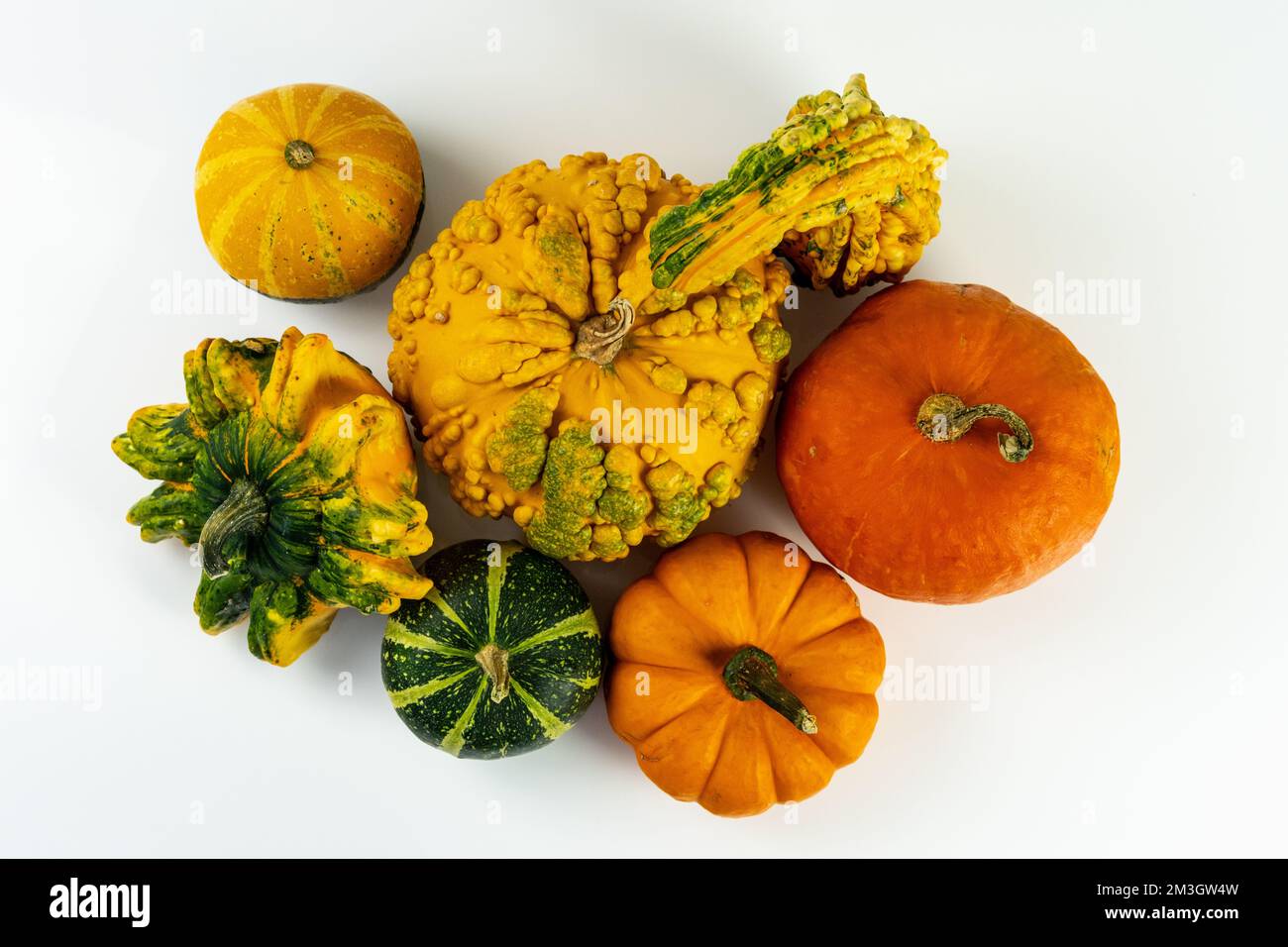 A top view of squash isolated on white background Stock Photo - Alamy