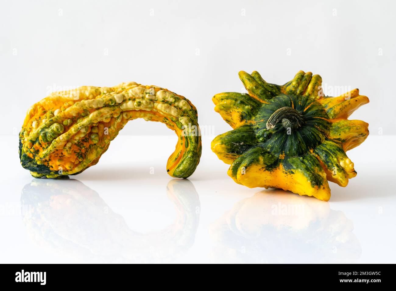 The squash isolated on white background Stock Photo - Alamy