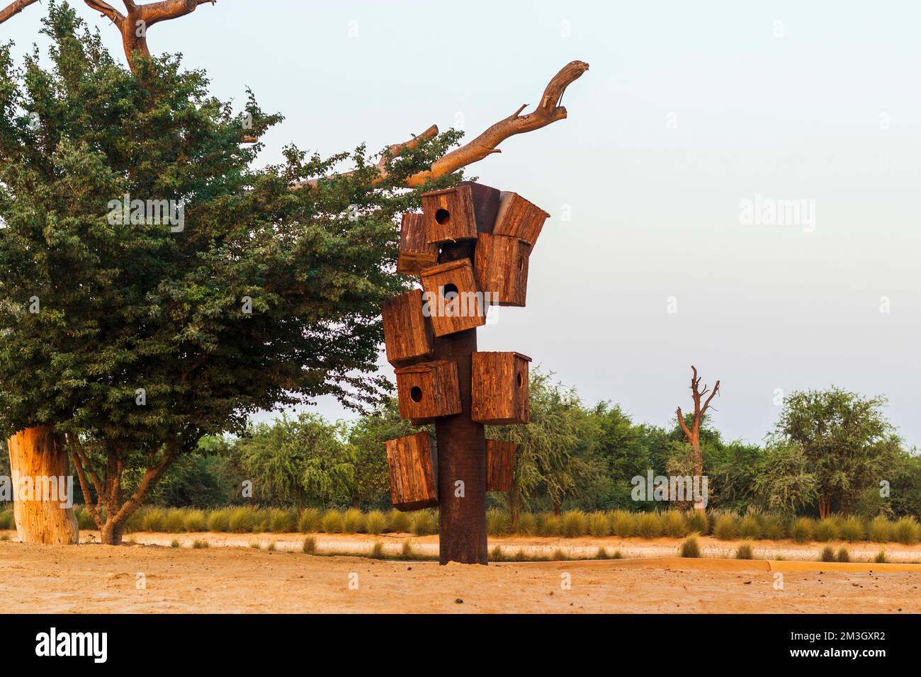 Shot of a bird houses installed on the wooden bark Stock Photo - Alamy