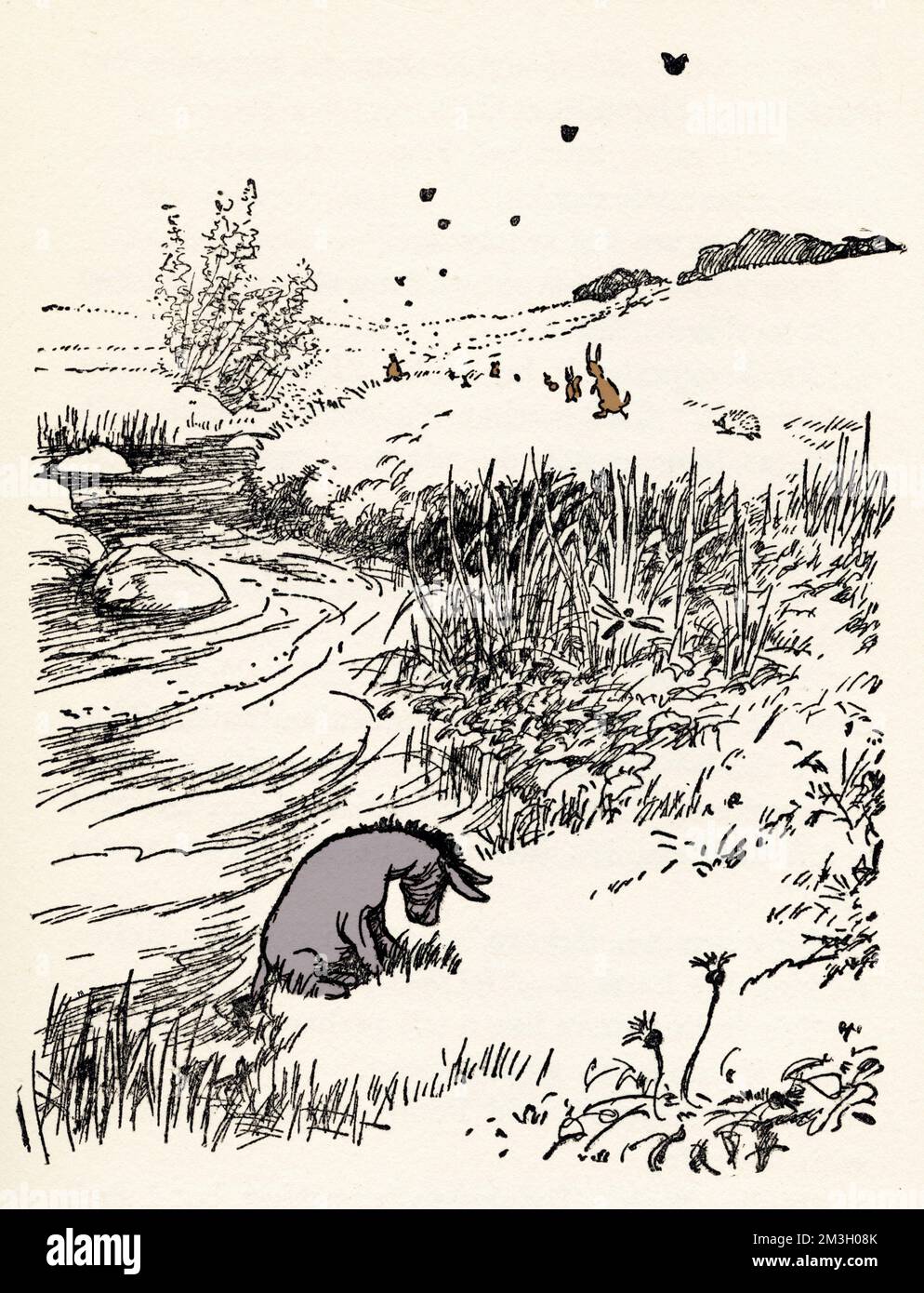 My Tail's Getting Cold Stock Photo - Alamy