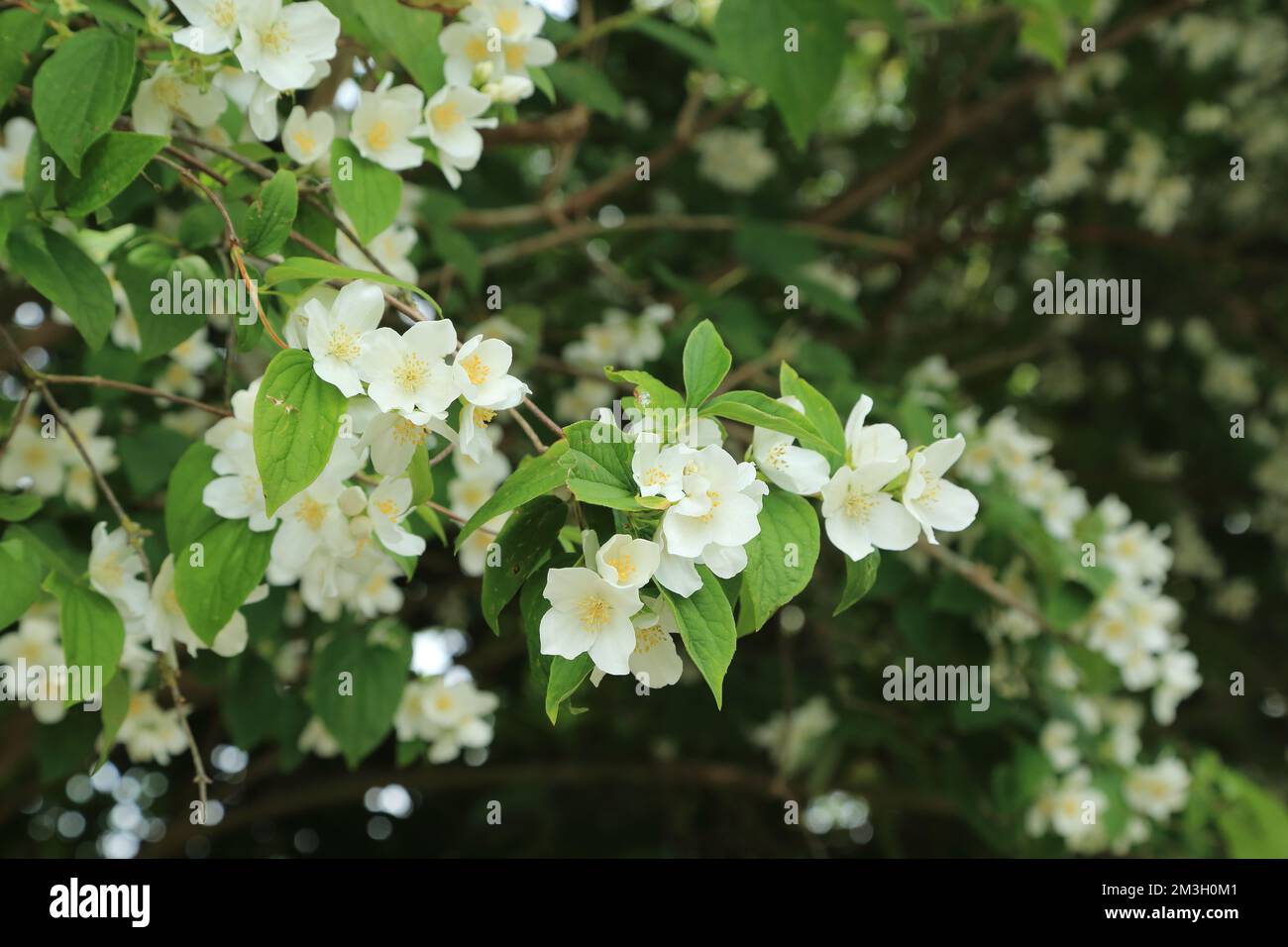 Lindeth road hi-res stock photography and images - Alamy