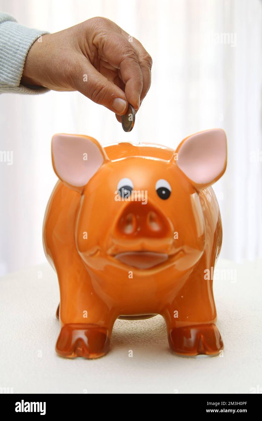 Small Livestock Also Makes Crap Stock Photo - Alamy