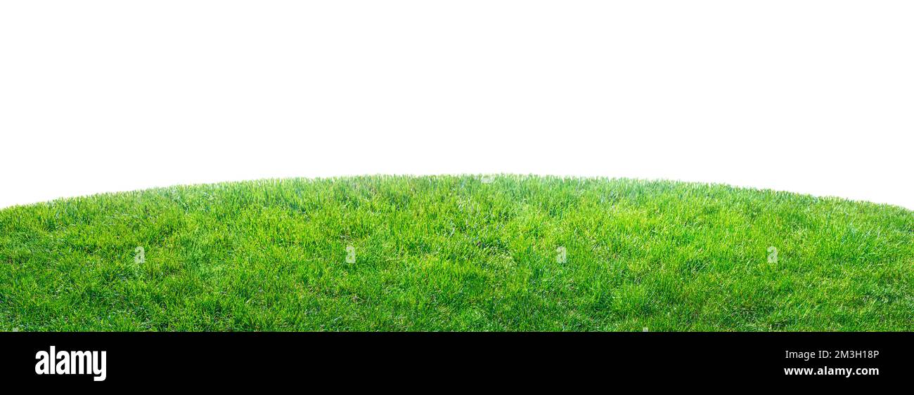 green grass field isolated on white background Stock Photo - Alamy