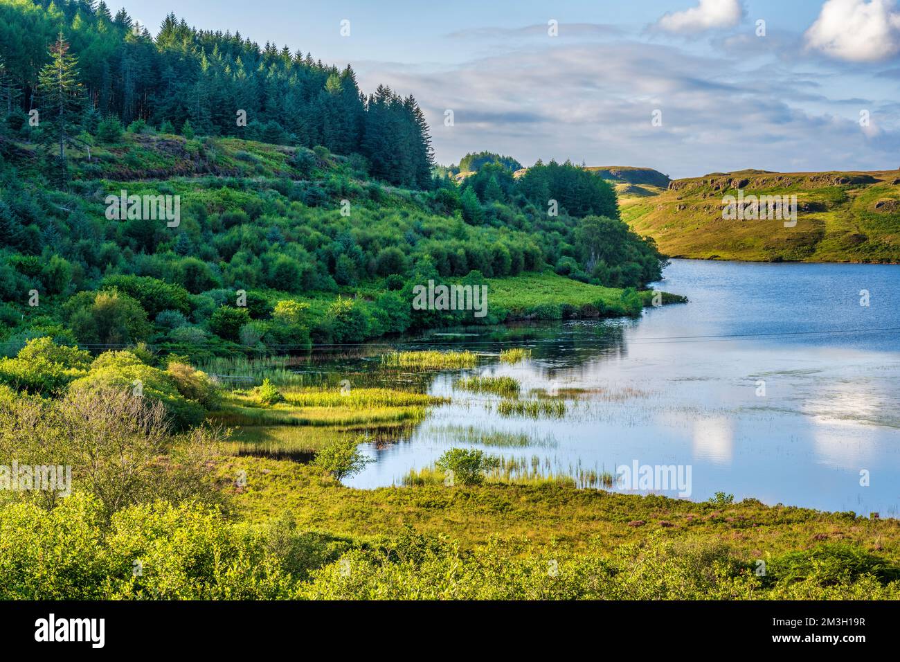 Loch an Torr, a picturesque small freshwater loch near Dervaig in the ...