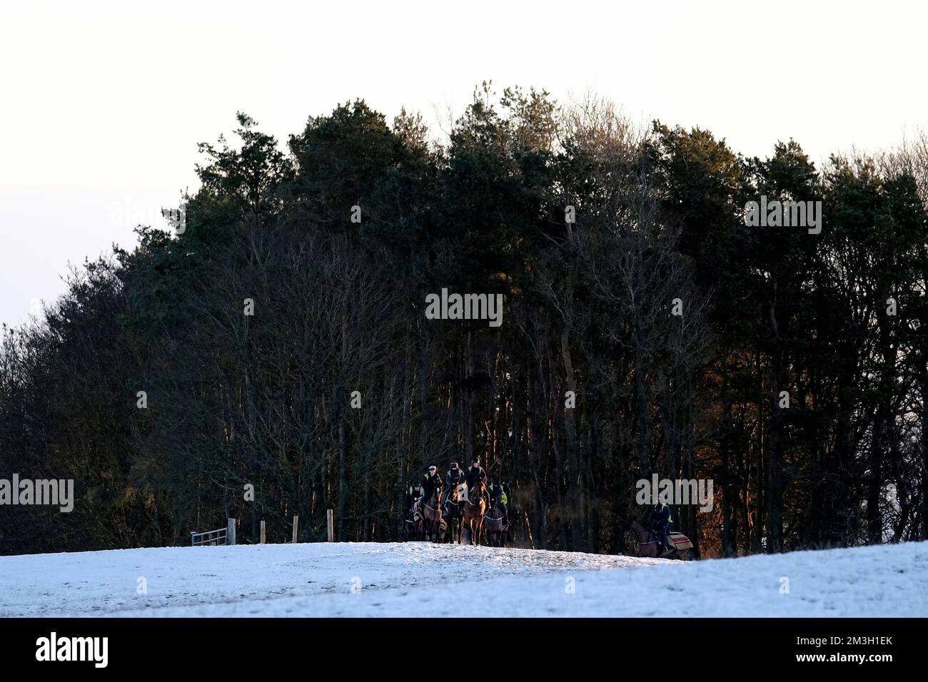 Horses in stables uk winter hi-res stock photography and images - Alamy