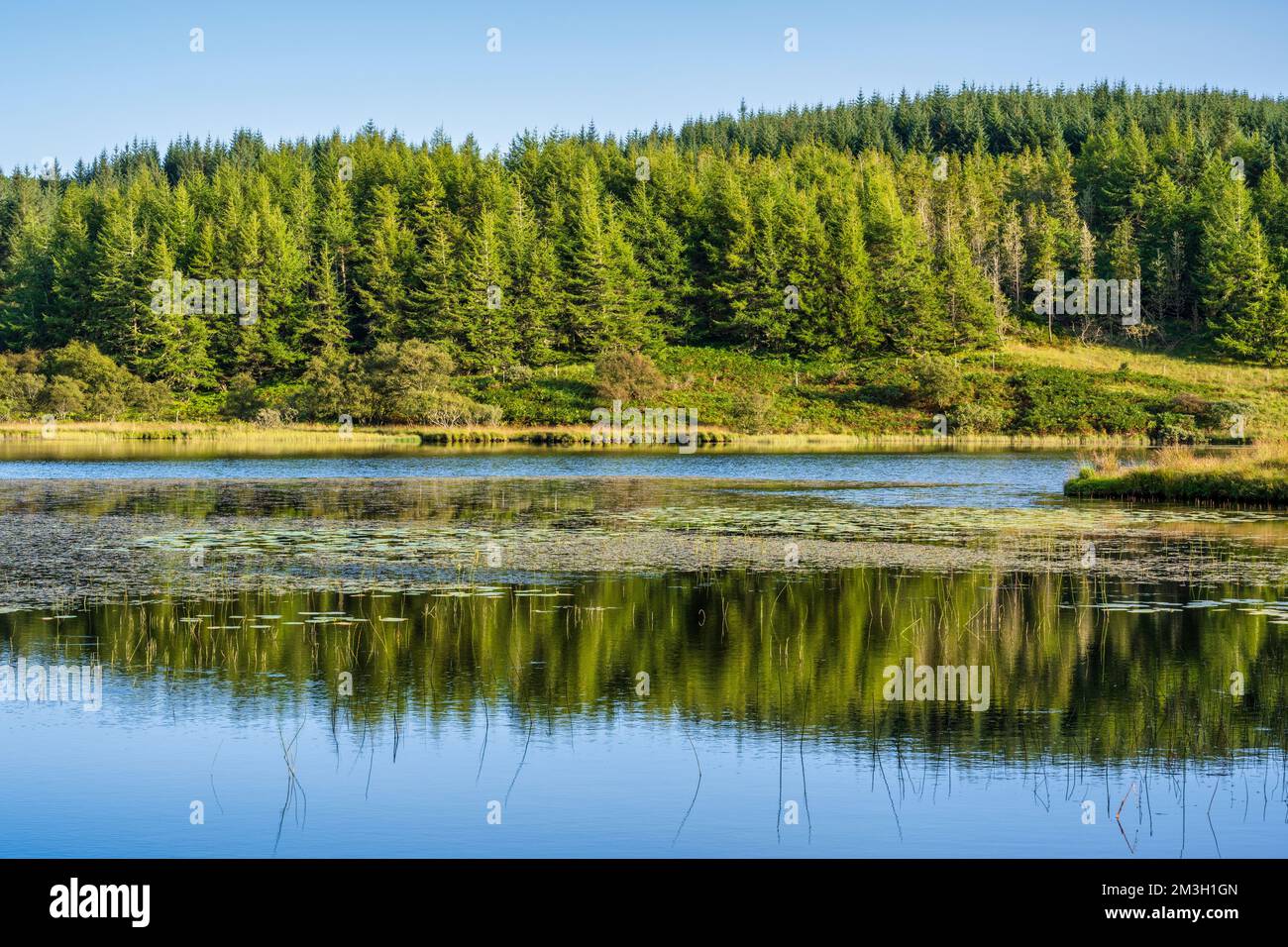 Colourful reflections on Loch Peallach, the easternmost of the three ...