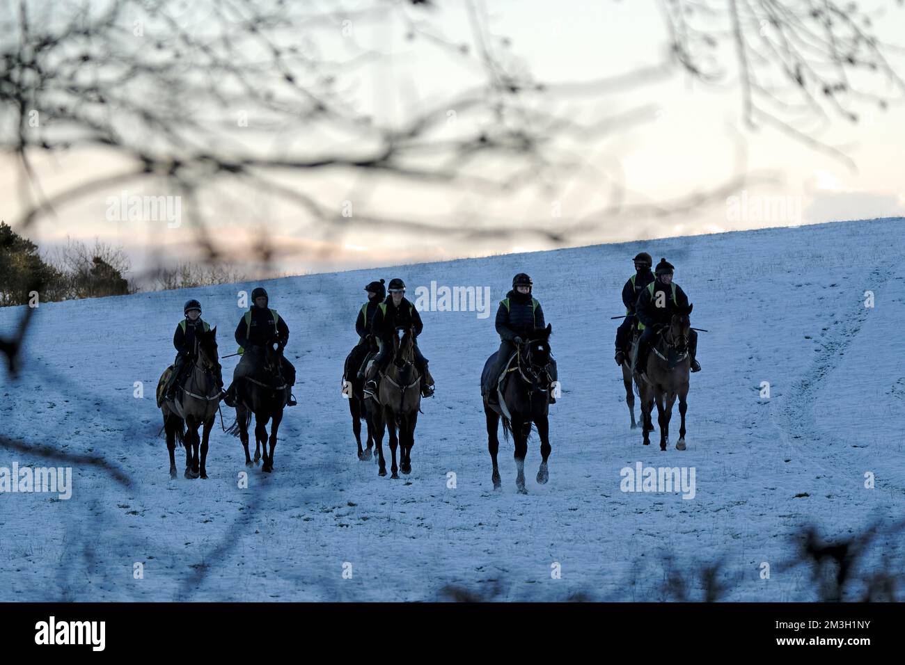 Selkirk, UK. 15th Dec, 2022. Racehorses from The Coltherd Racing ...