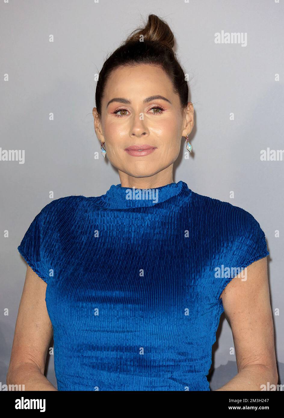 Dec 12, 2022 - London, England, UK - Minnie Driver attending The ...