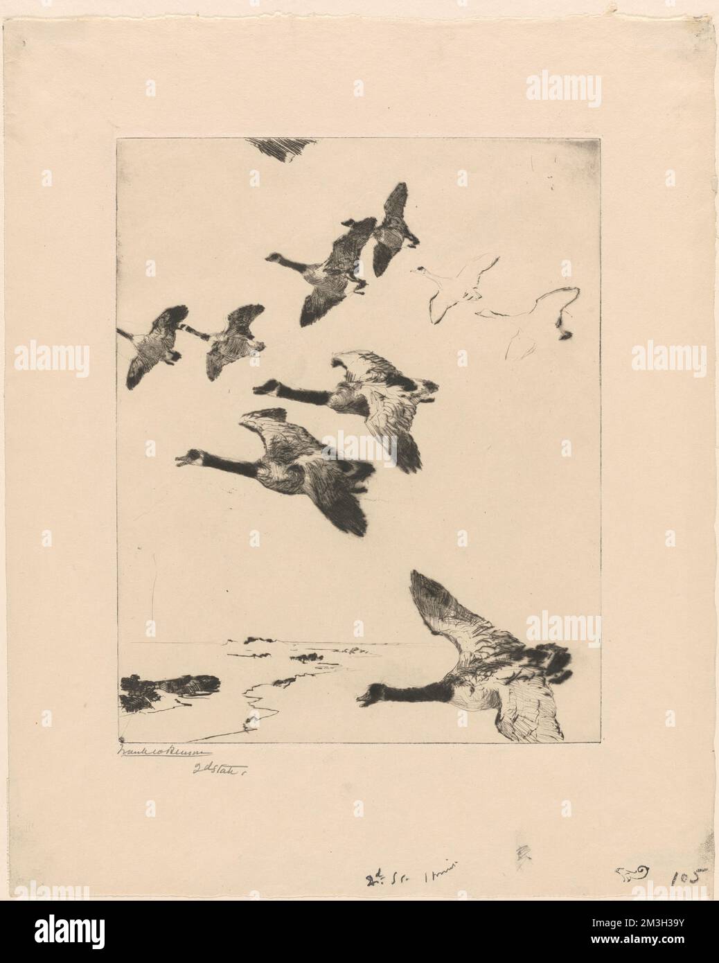 Migrating geese , Geese, Flying, Animal migration. Frank W. Benson ...