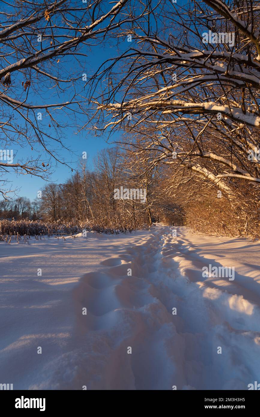 Taken in the winter of PA Stock Photo - Alamy