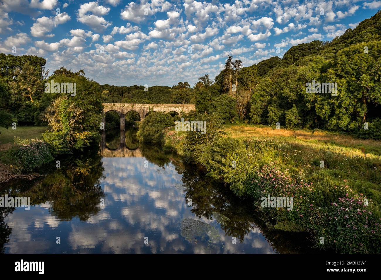 River Torridge; Beam Bridge View; Devon; UK Stock Photo - Alamy