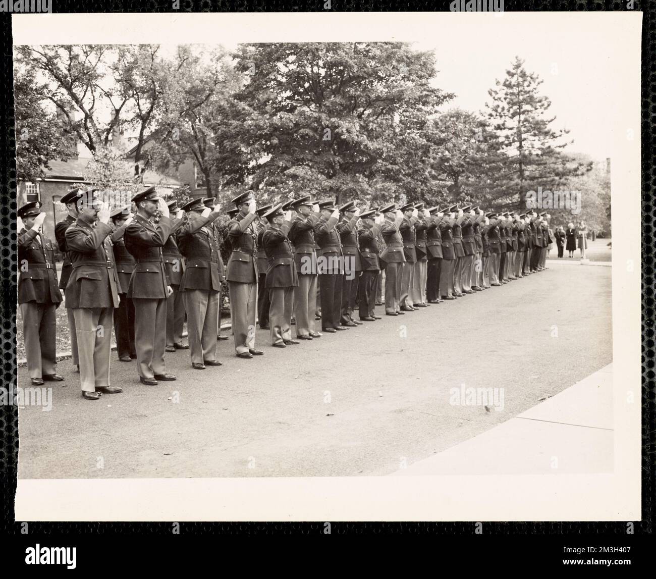 Military salute at ceremony , Military parades & ceremonies, Military ...