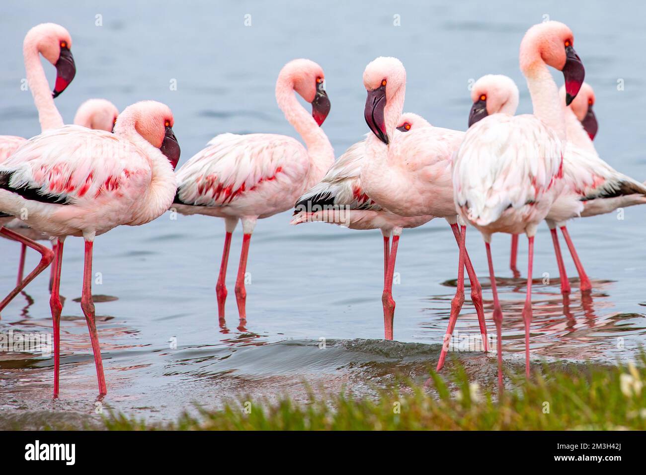 Skeleton bay reserve hi-res stock photography and images - Alamy