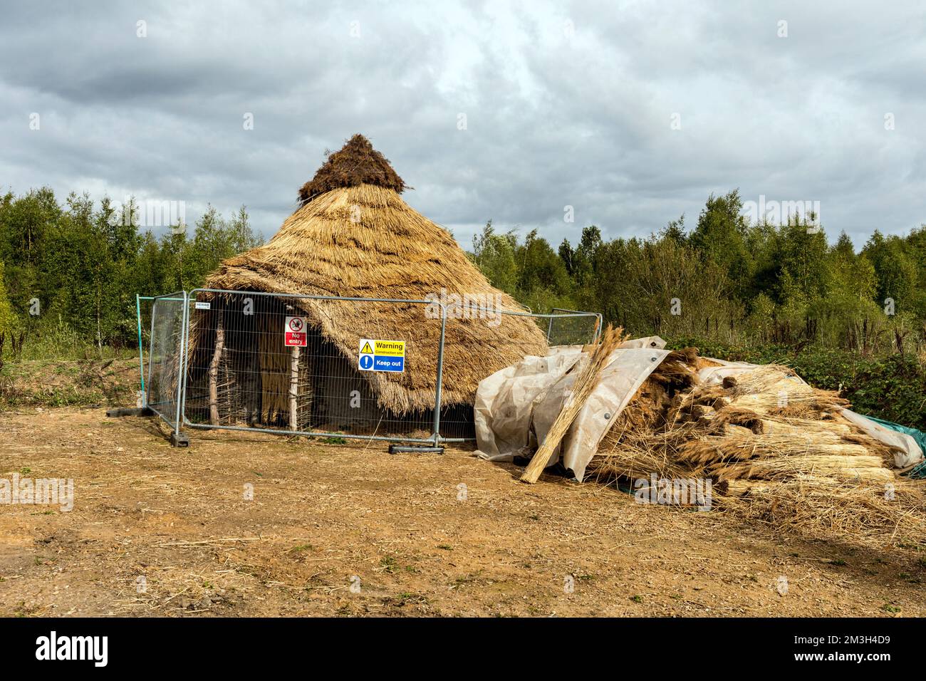 Hatfield Moor; Building a Hut; Yorkshire; UK Stock Photo - Alamy