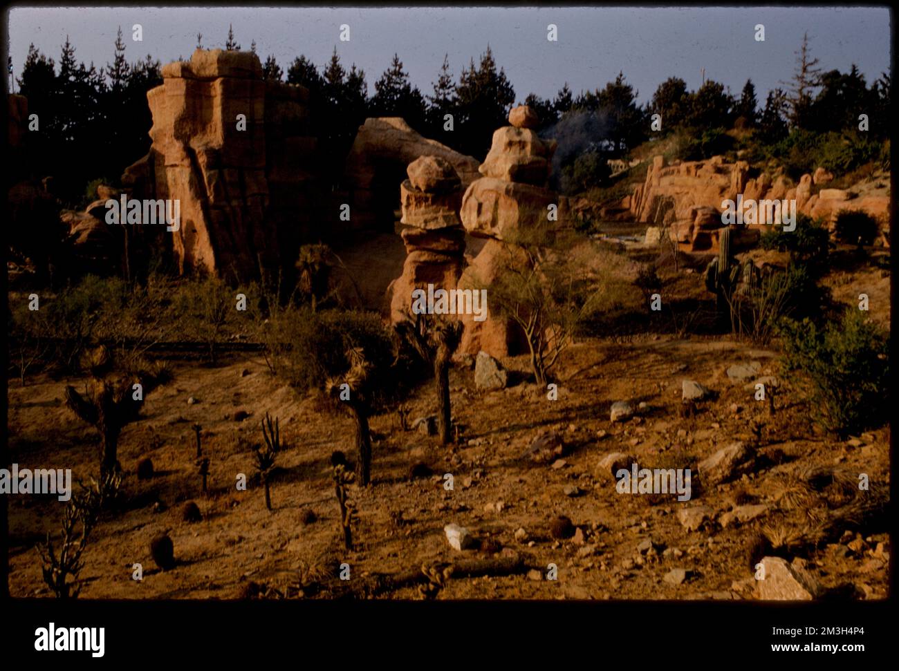 Mine Train Through Nature’s Wonderland, Disneyland , Amusement parks ...