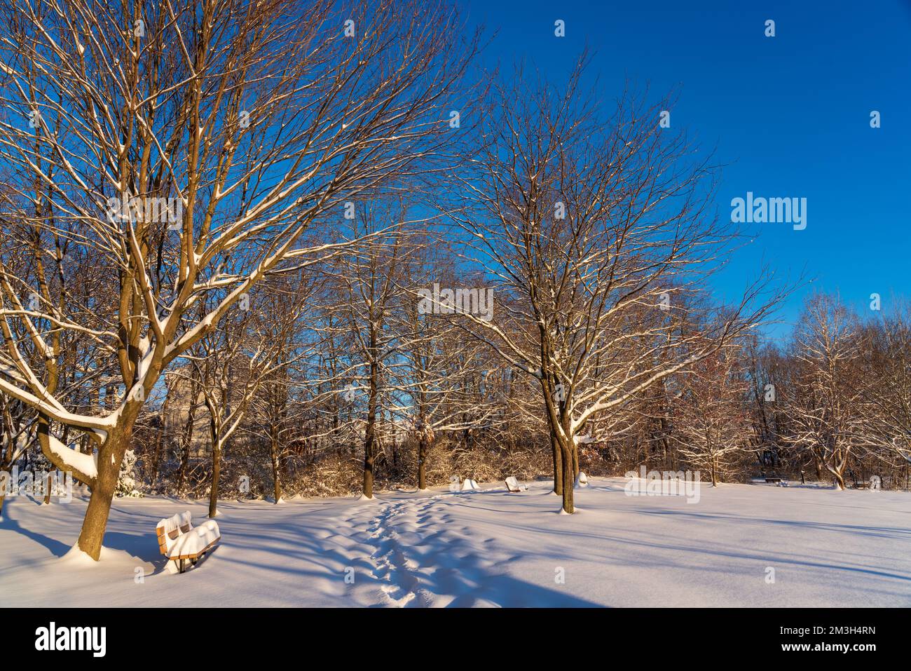 Taken in the winter of PA Stock Photo - Alamy