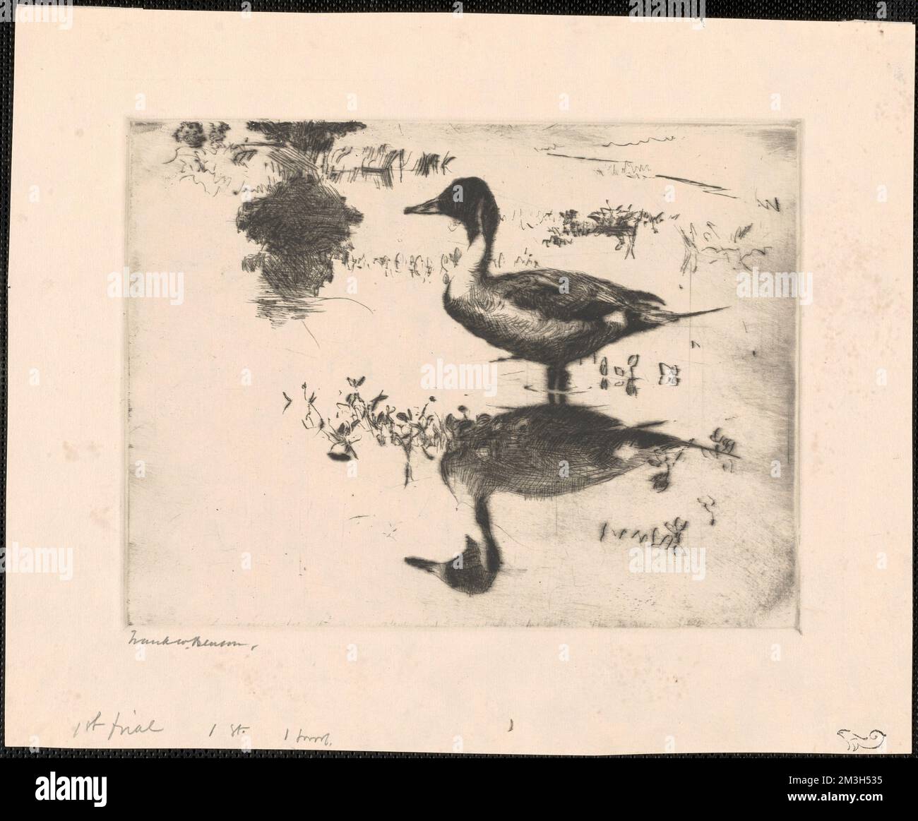 The mirror , Ducks, Bodies of water, Reflections. Frank W. Benson (1862 ...