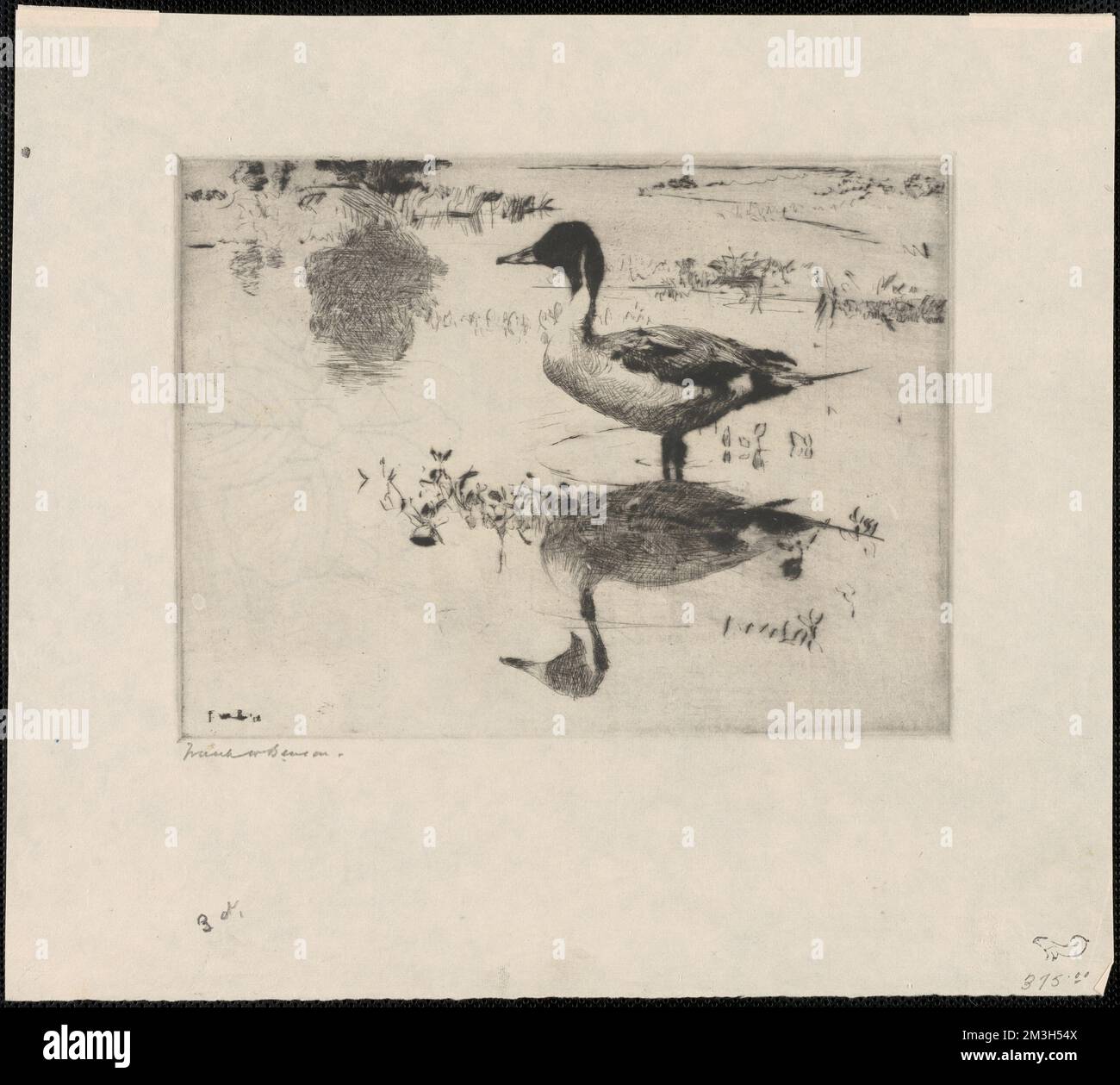 The mirror , Ducks, Bodies of water, Reflections. Frank W. Benson (1862 ...