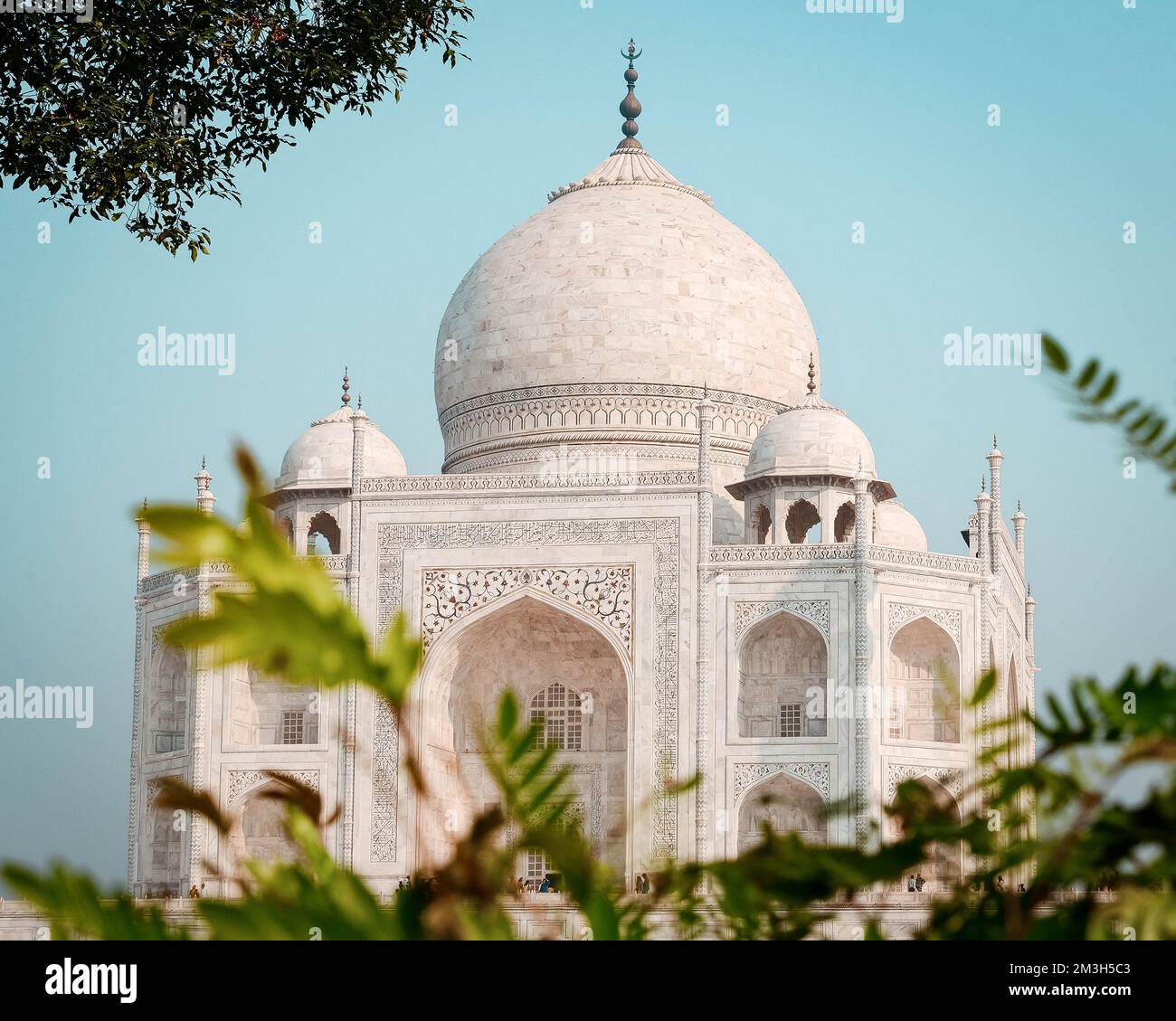 Taj mahal pillar hi-res stock photography and images - Alamy