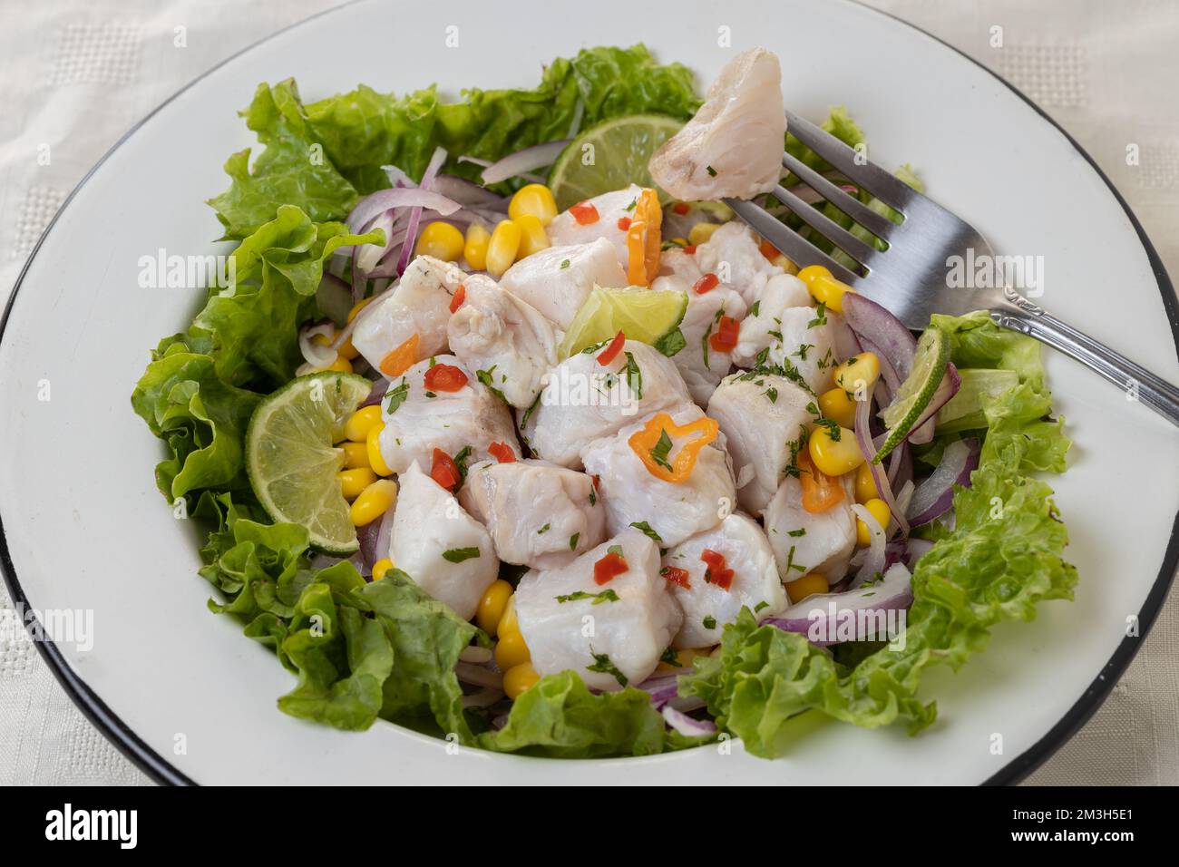 Detail of Ceviche, typical fish-based dish of Peruvian cuisine Stock ...