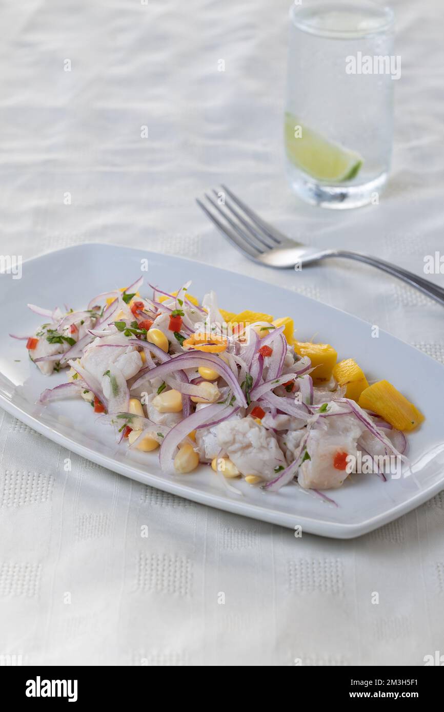 Ceviche, typical fish-based dish of Peruvian cuisine, presented in a ...