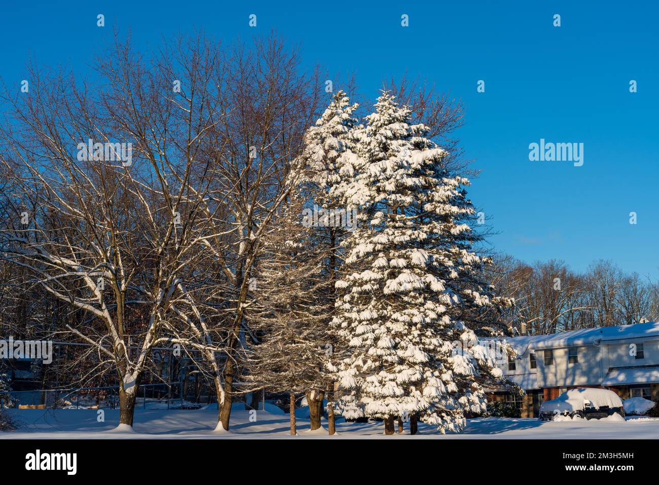 Taken in the winter of PA Stock Photo - Alamy